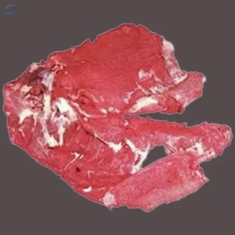 Frozen Buffalo Neck - Al Habib International