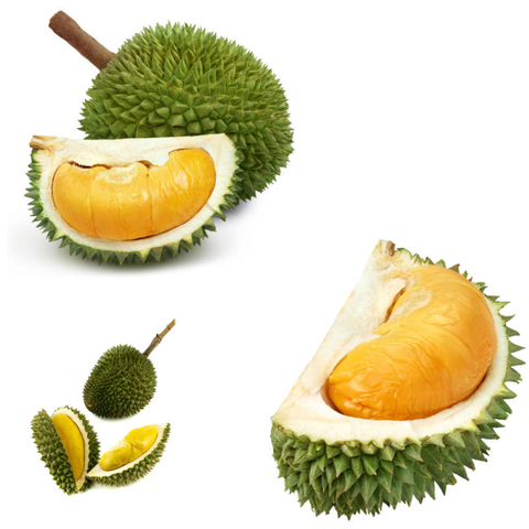 The King Fresh Durian Monthong Fresh Durians Organic Packed In Box ...