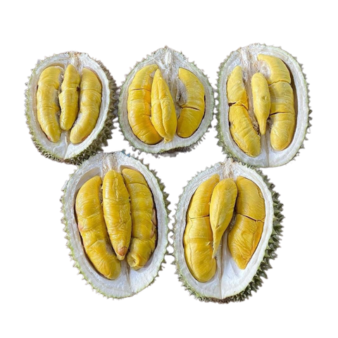 The Best Fresh Durian Ri6, Durian fruit , Frozen Durian, Organic Packed ...