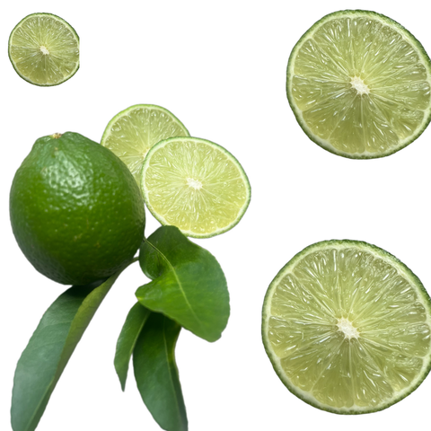 Special Lime Without Seed Seedless Lime GreenOrganic Packed In Box in ...