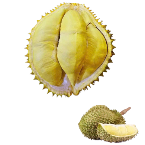 Wholesaler Fresh Durian Monthong, fresh durians Eat Directly Sweet And ...