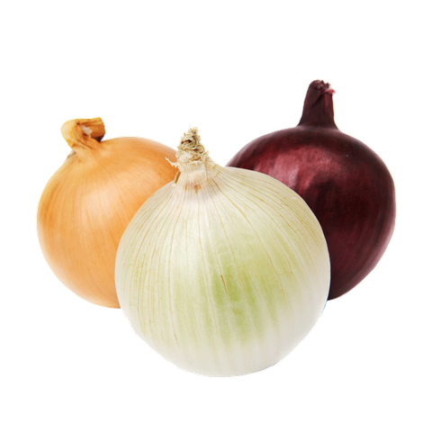 Australian Onions - Buy Wholesale Wakegi Onion, Wholesale Frozen Onion ...