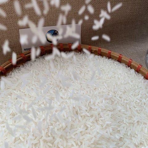 Freshdi - Global Agri B2B Marketplace